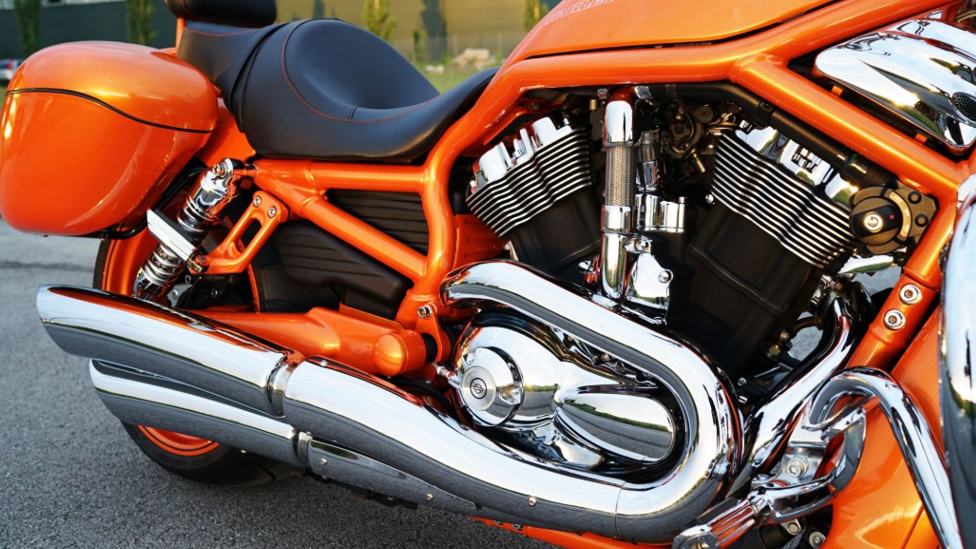 Super Orange Harley Night Rod Bucks the Dark Trend | Hdforums