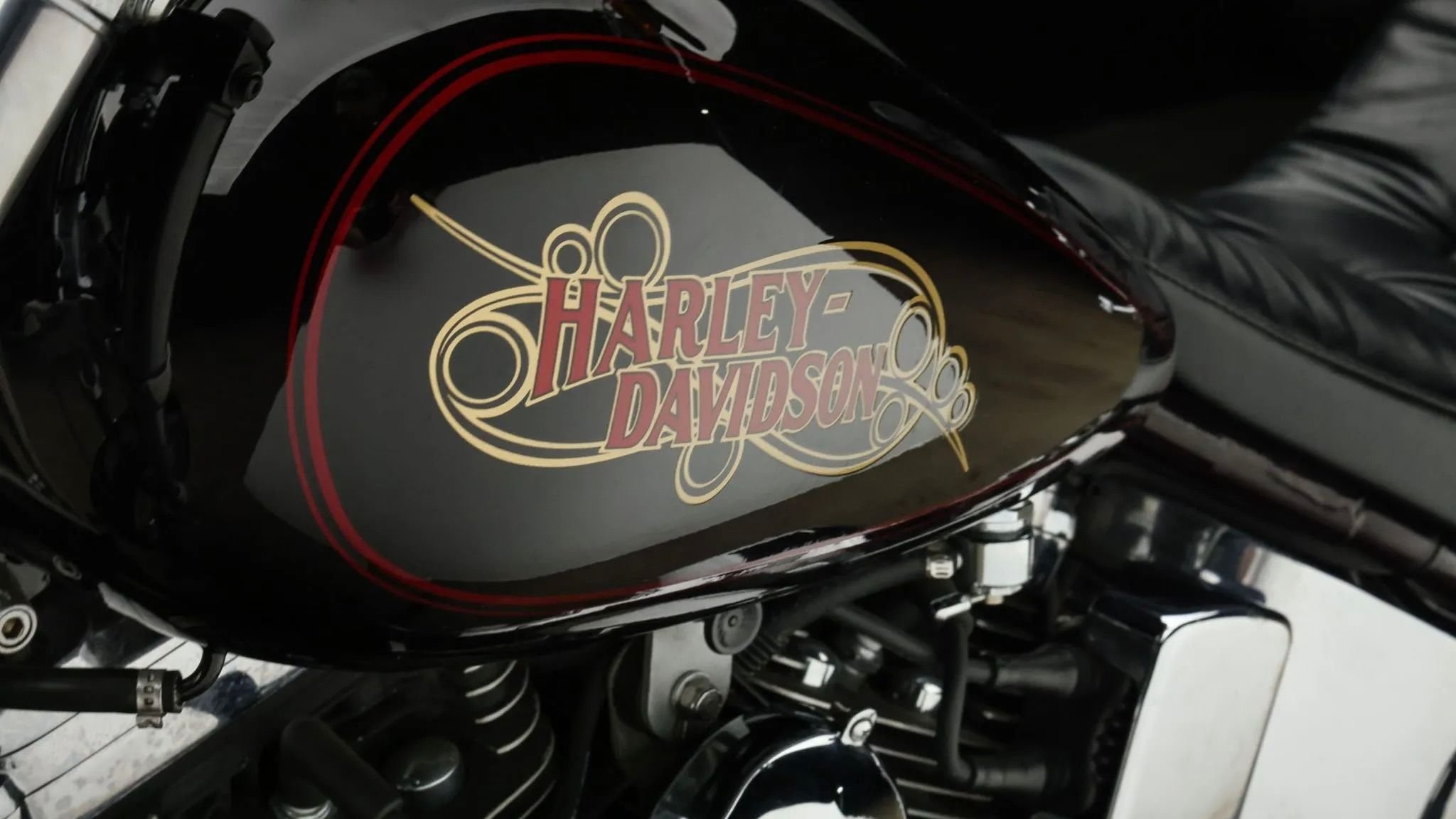 Journey Singer and His 1987 Harley Softail Custom Go Their Separate ...