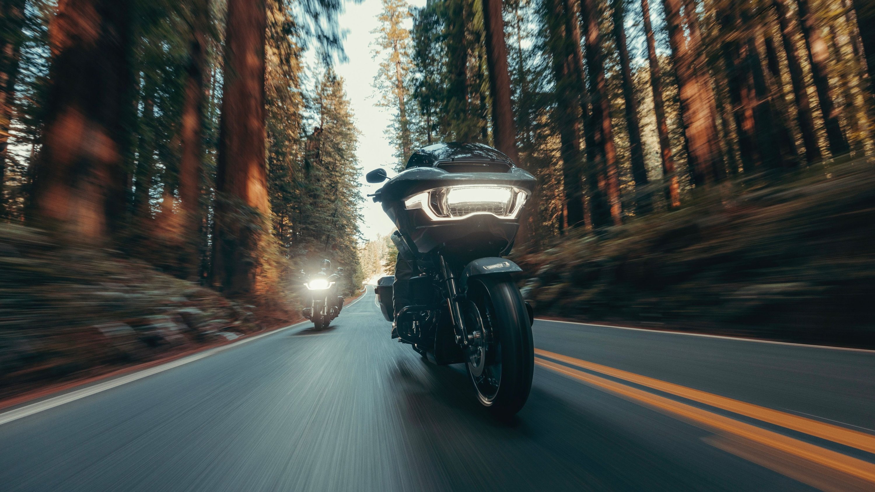 New Study Finds That We’re Probably Riding Our Motorcycles All Wrong ...