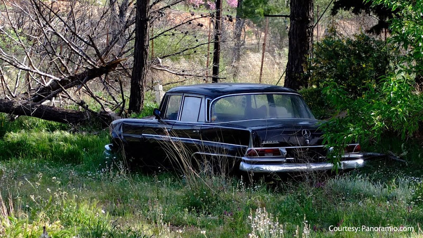 6 Creepy Mercedes-Benzes Abandoned in the Woods | Mbworld