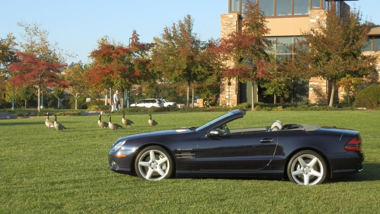 MB World Featured Car of the Month: Contenders for May 2019 | Mbworld