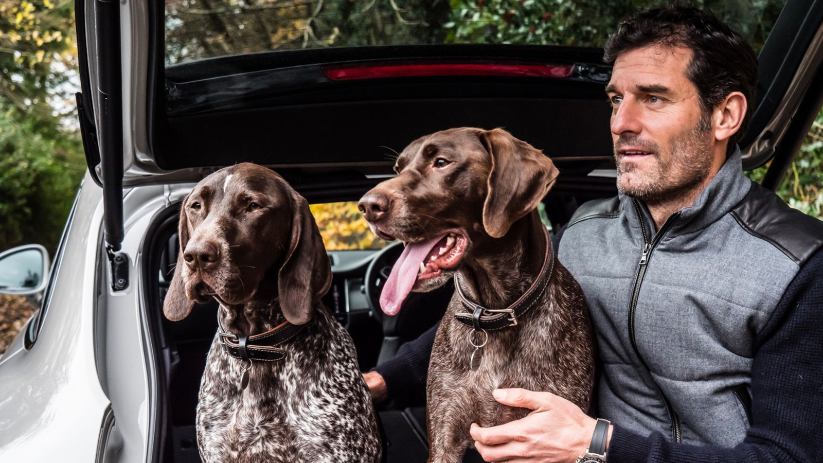 8 Photos of Porsches With Dogs to Make You Smile | Rennlist