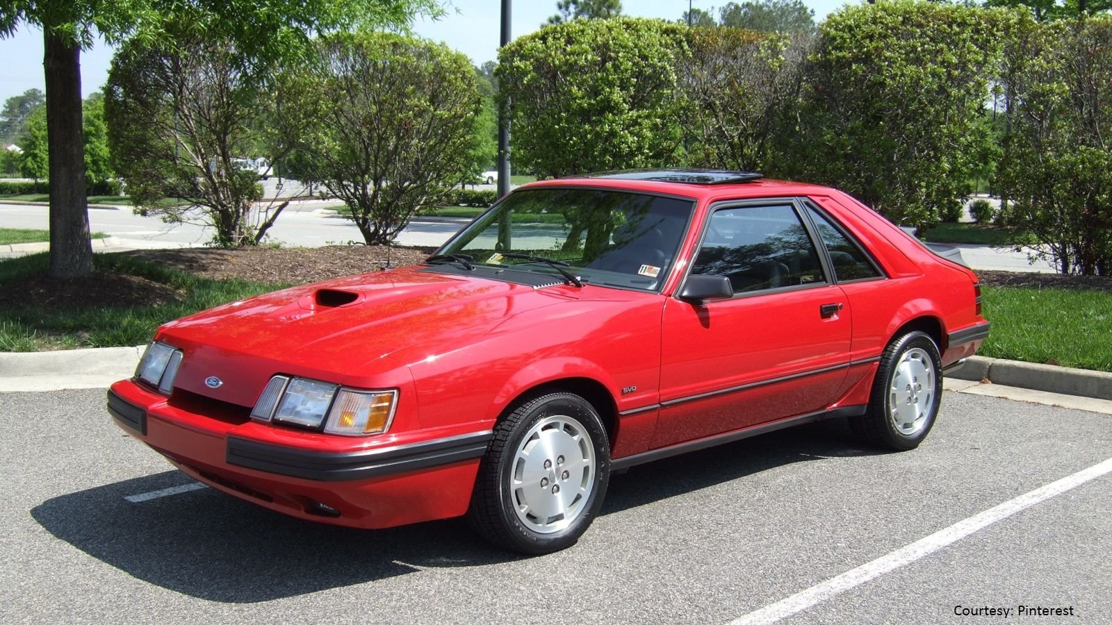 5 Best Mustang Special Editions | Themustangsource