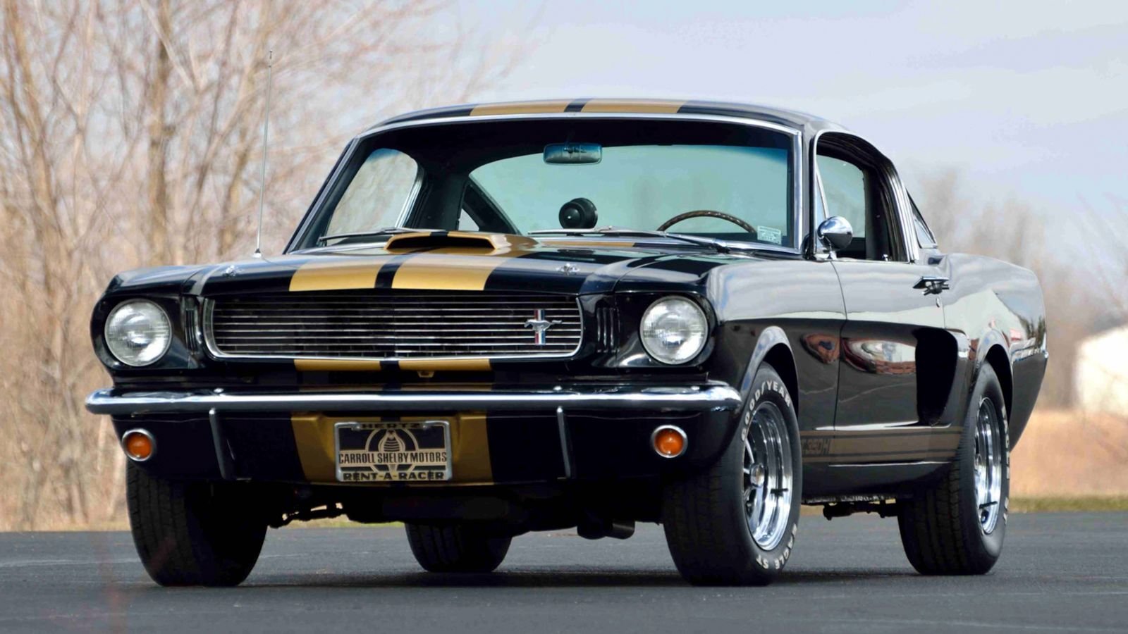 Our 7 Favorite Mustang Race Car Liveries | Themustangsource