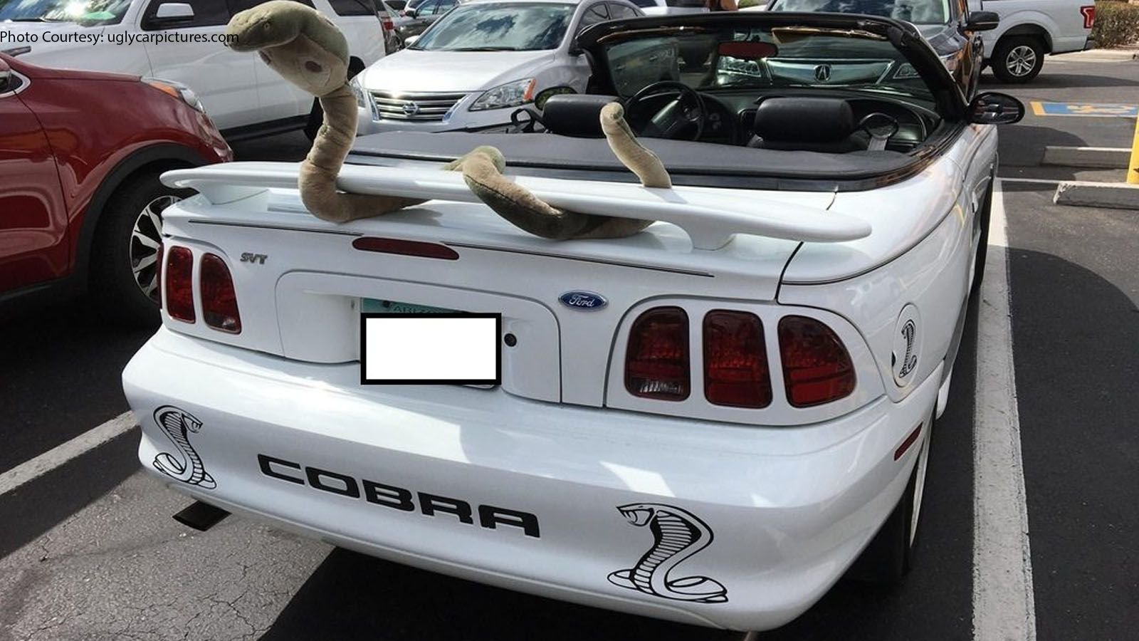 5 Times Mustang Modding Went Horribly Wrong | Themustangsource