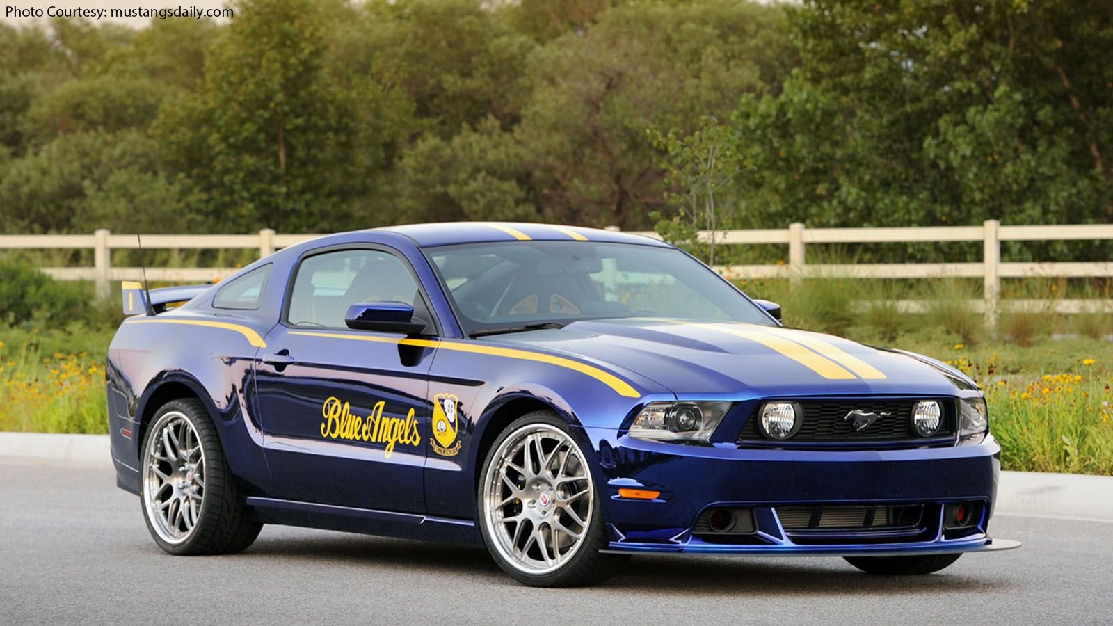 10 Rare Mustang Special Editions | Themustangsource