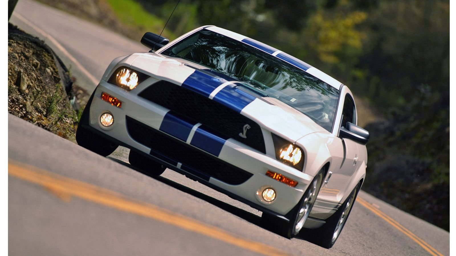 8 Things We Learned from Talking With John Coletti | Themustangsource