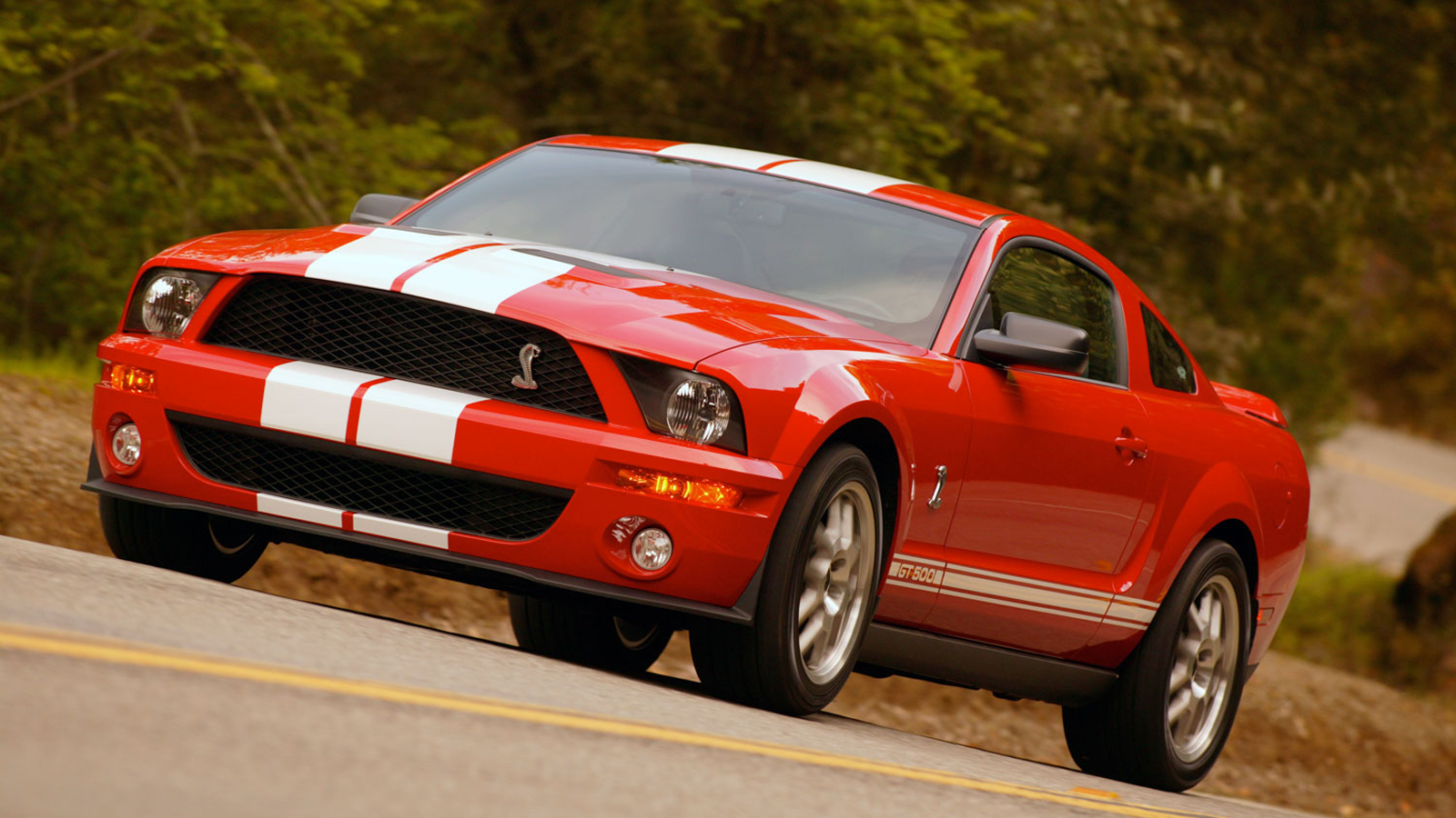 10 Most Iconic Shelby Mustangs of All Time | Themustangsource