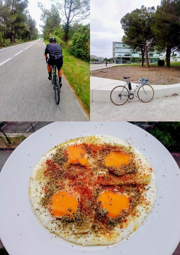 Keto Diets and Riding Fat Adapted - Page 19 - Bike Forums