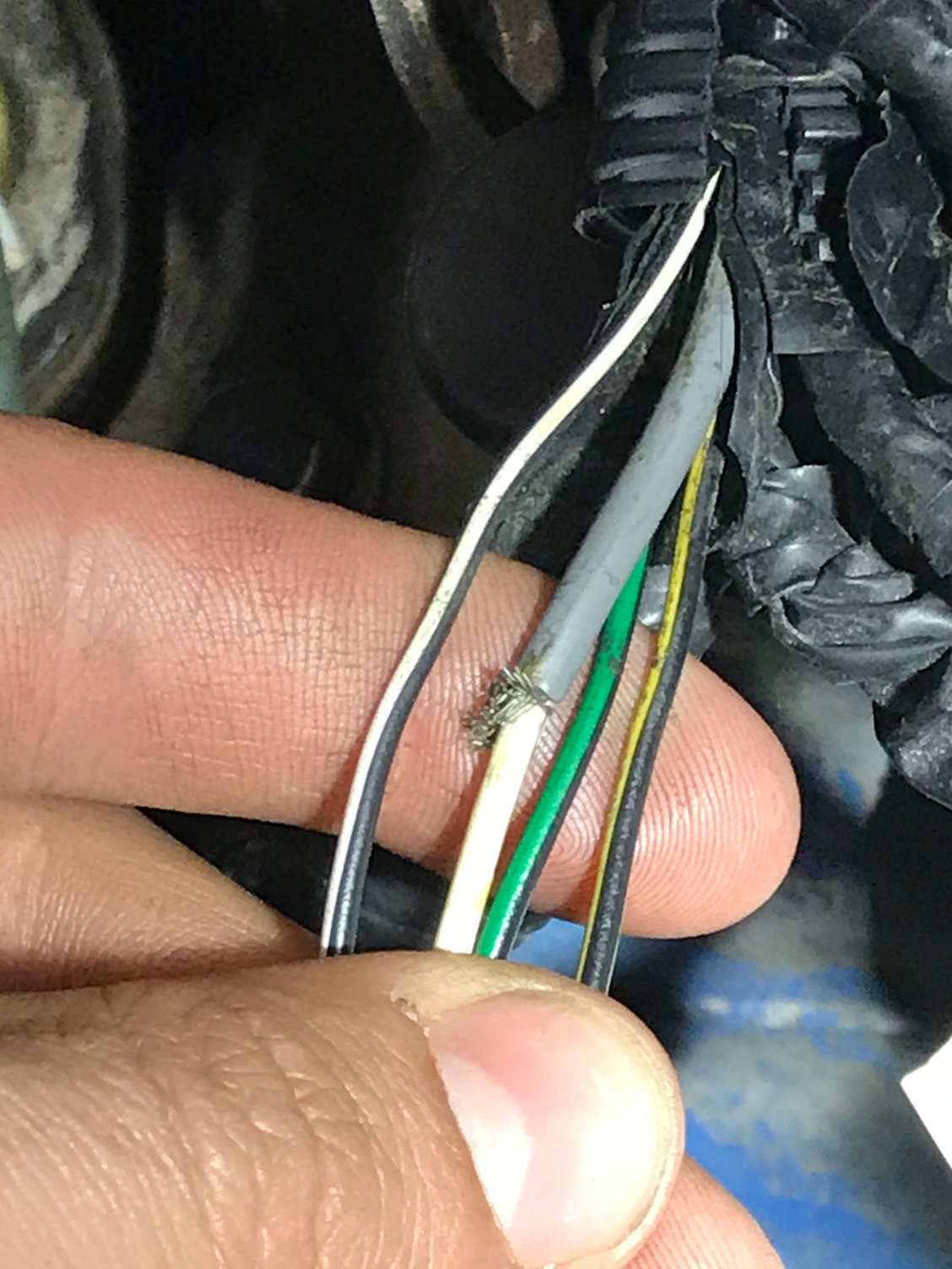 Obd1 B16a Swap Primary O2 Sensor Not Working Honda Tech Honda obd1-b16a-swap-primary-o2-sensor-not-working-honda-tech-honda