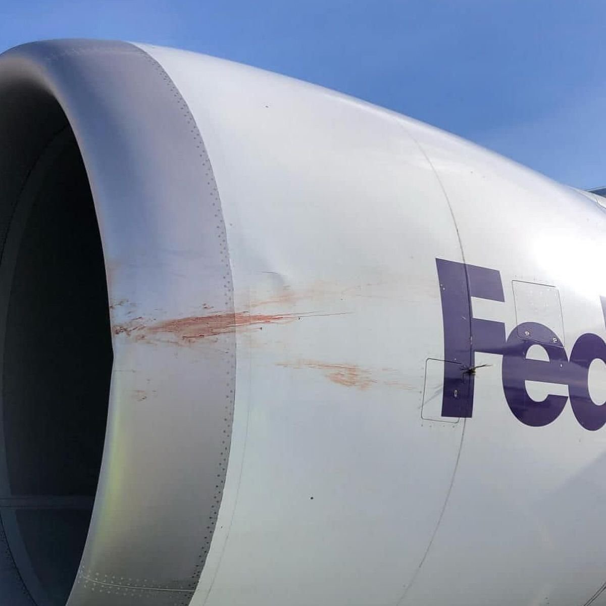 Anyone seen this kind of birdstrike damage to a turbofan? Fedex 767 ...