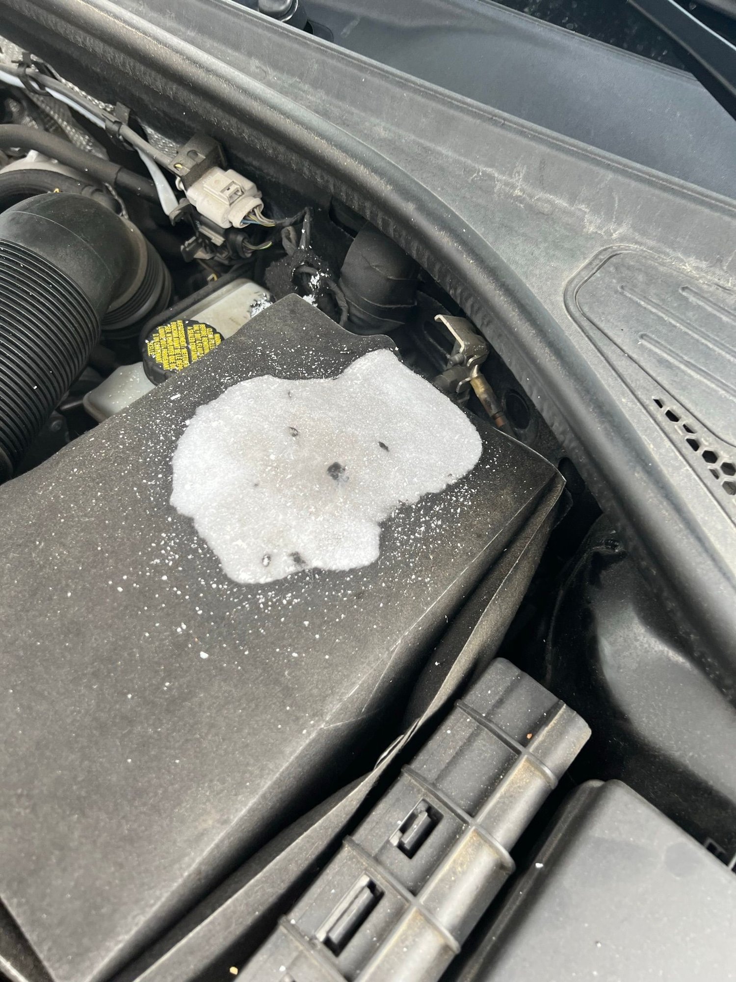 Felt battery cover torn up after dealer visit - AudiWorld Forums