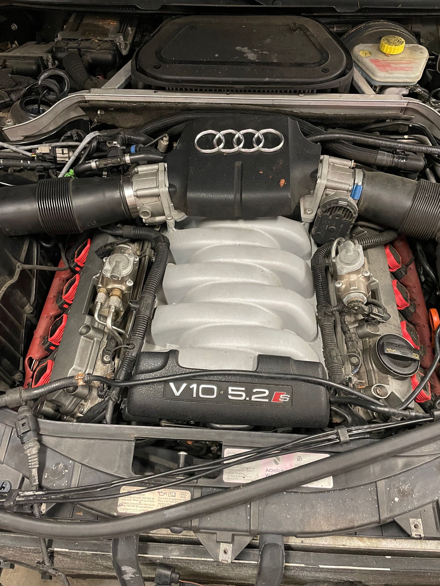 fs: 2008 audi s8 5.2l V10 - AudiWorld Forums