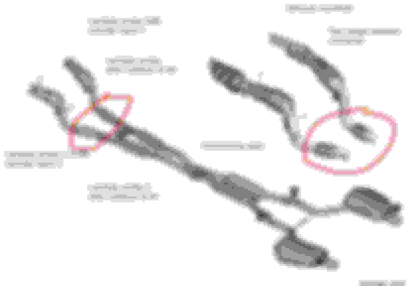 P0420 Catalytic converter issue - AudiWorld Forums