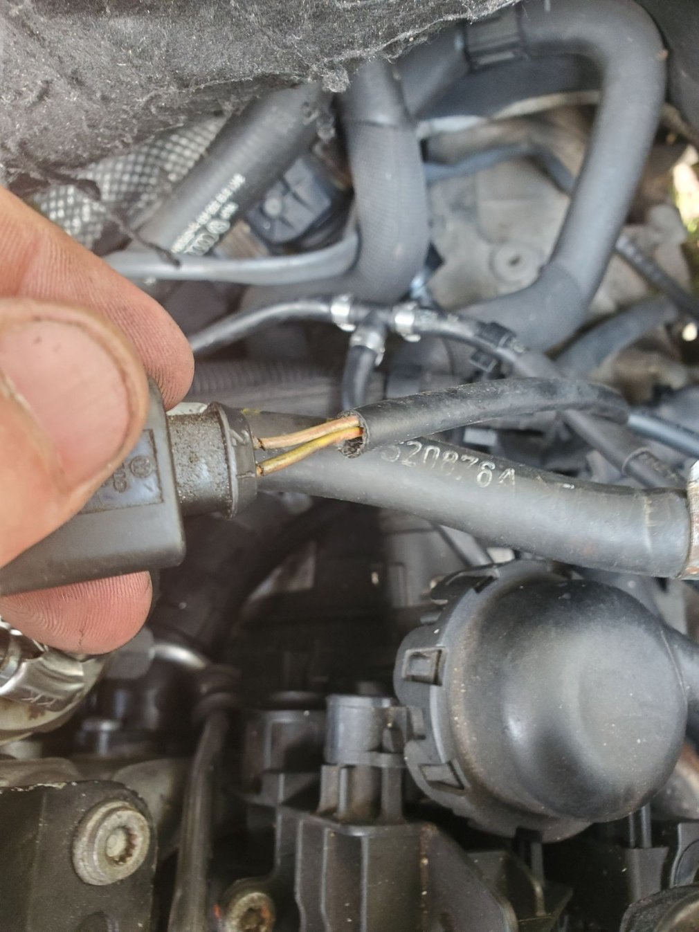 What is this! - AudiWorld Forums