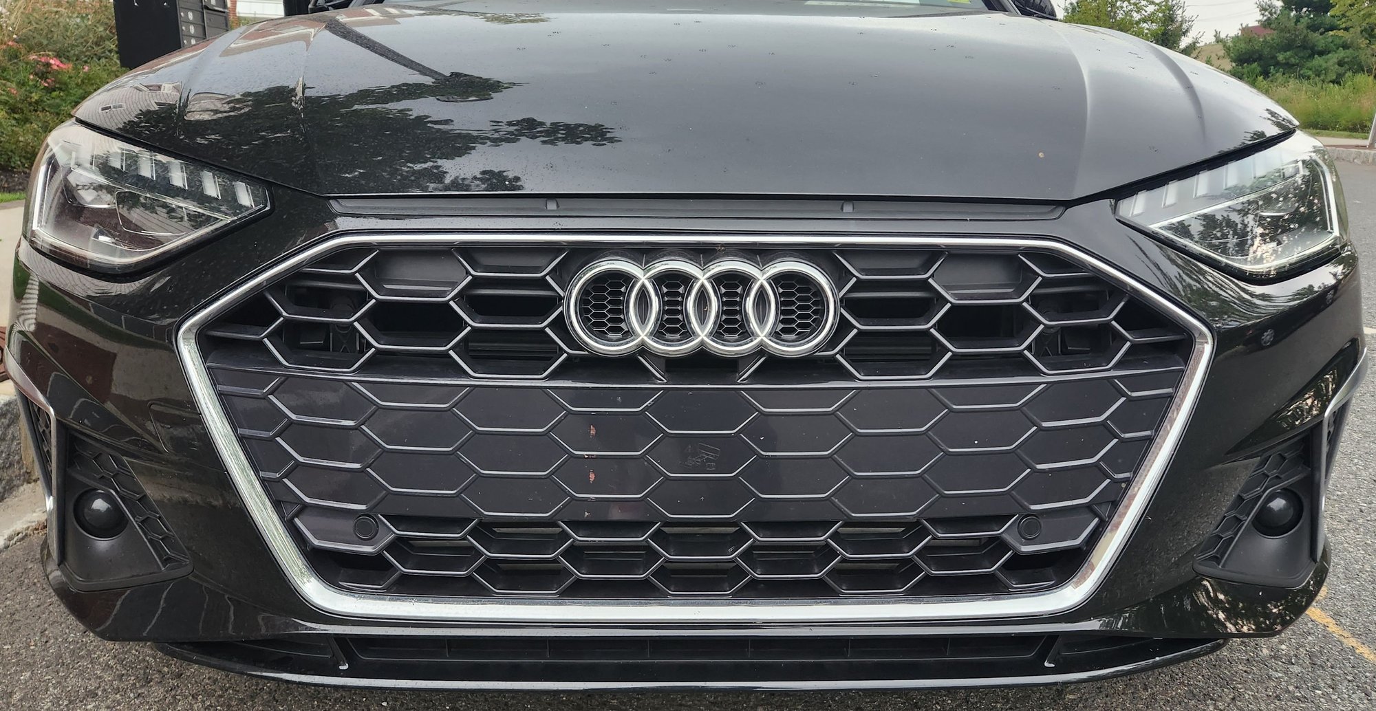 2020 A4 PP B9 Front License Plate Holder - AudiWorld Forums