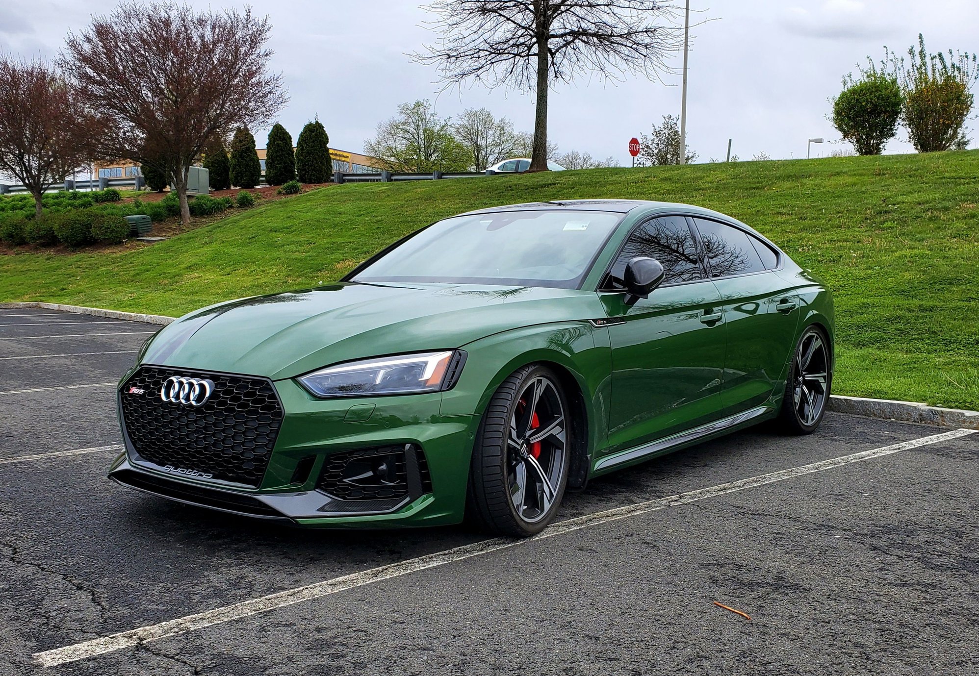 Progressive Red vs Tango Red Pics? - AudiWorld Forums