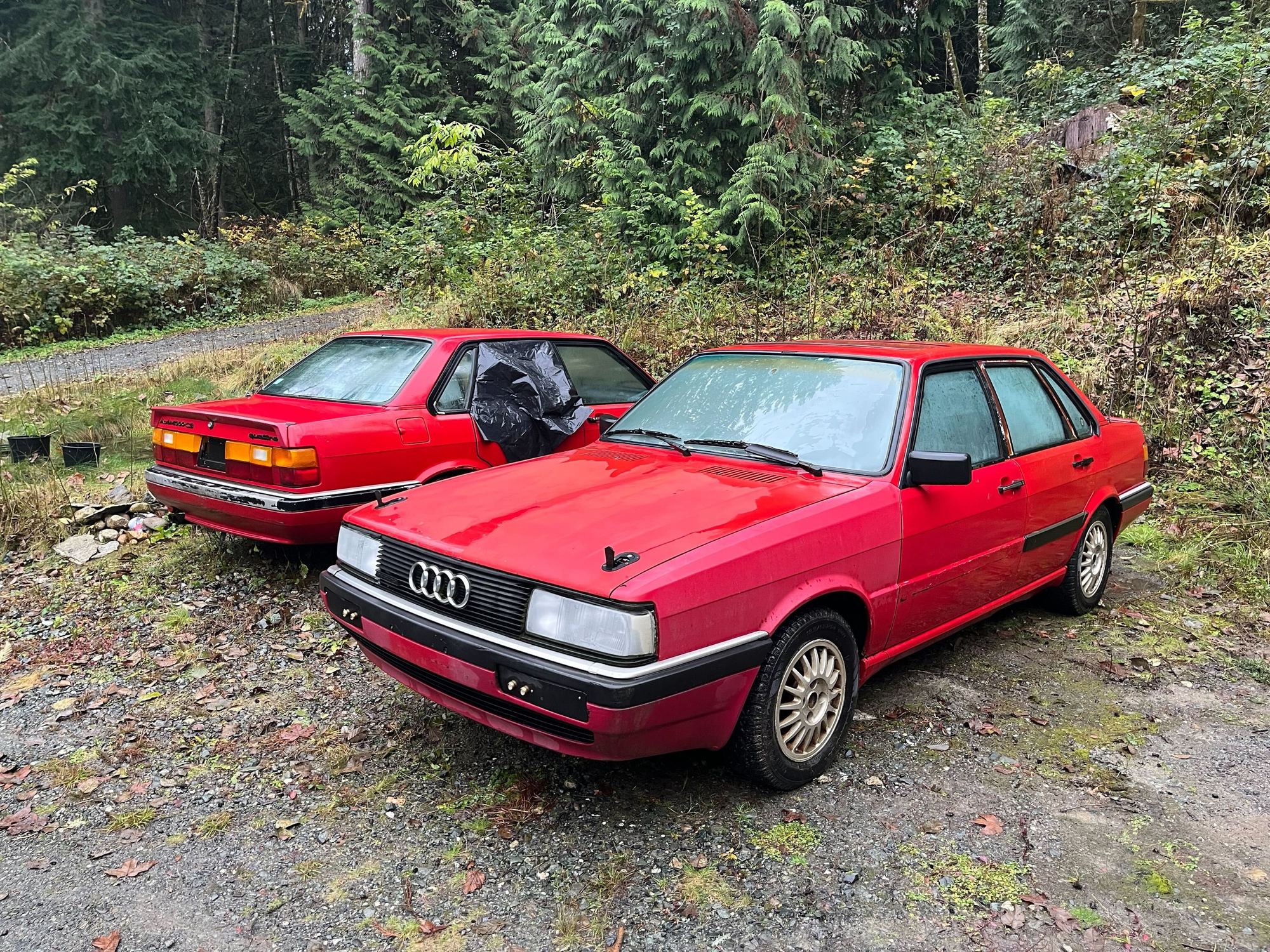 1986 Audi 4000 CS Quattro - AudiWorld Forums