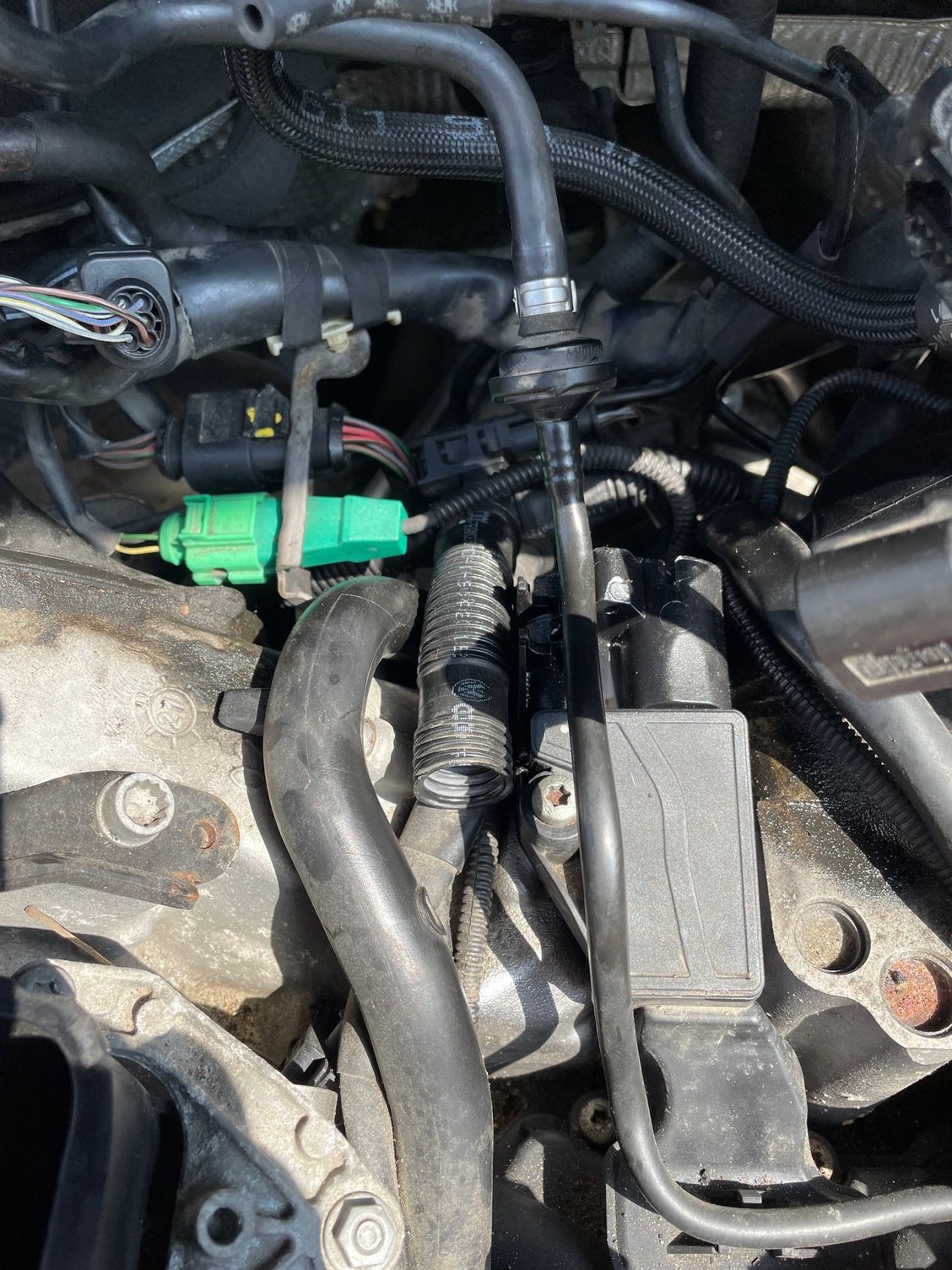 Hose Name? - AudiWorld Forums
