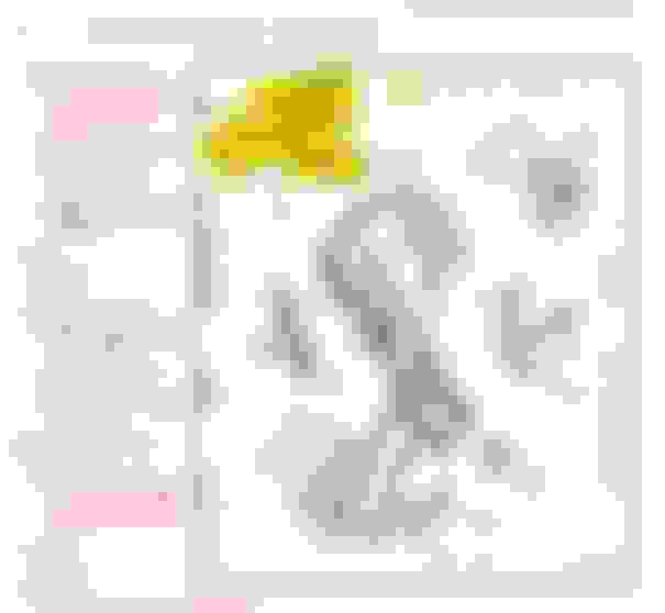 3.6l Oil Pressure Warning - AudiWorld Forums