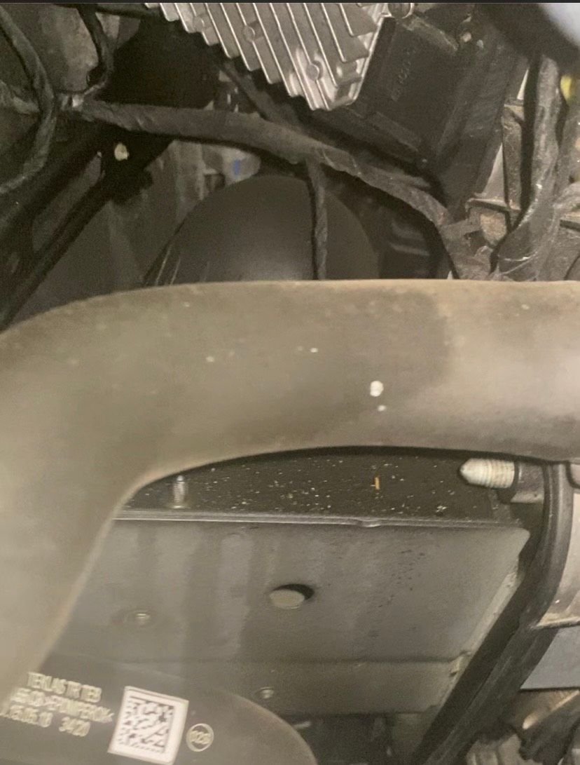 2021 Audi A5 Yellow Grease - AudiWorld Forums