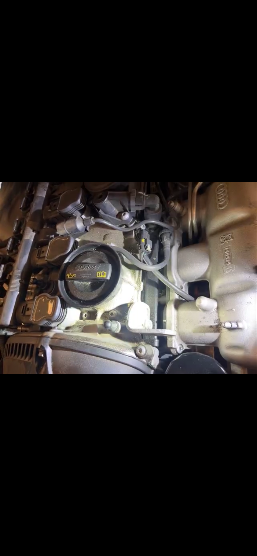 Fuel Service and fluid flush cost and frequency - AudiWorld Forums