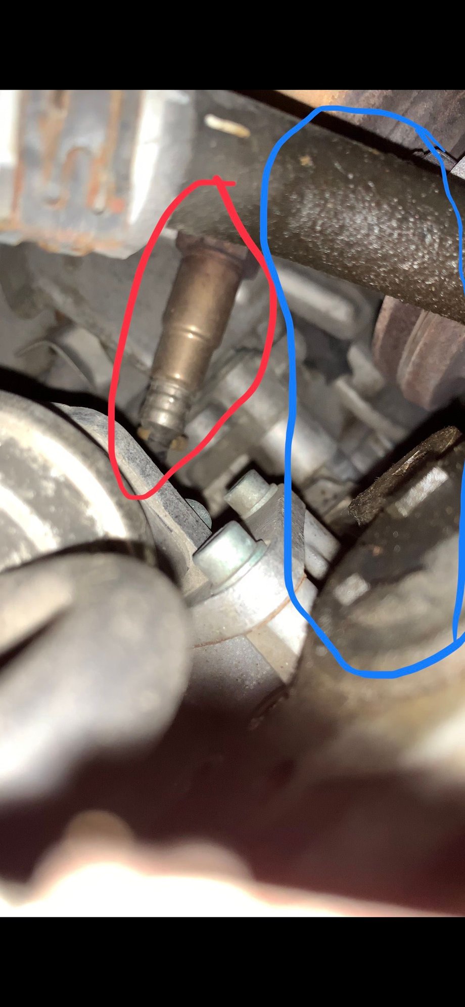 Locating O2 Sensor - AudiWorld Forums