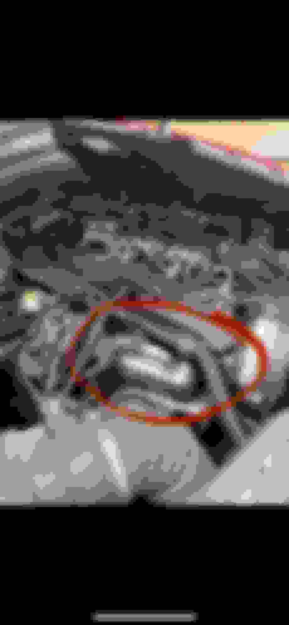 Bolt missing and engine noise - AudiWorld Forums