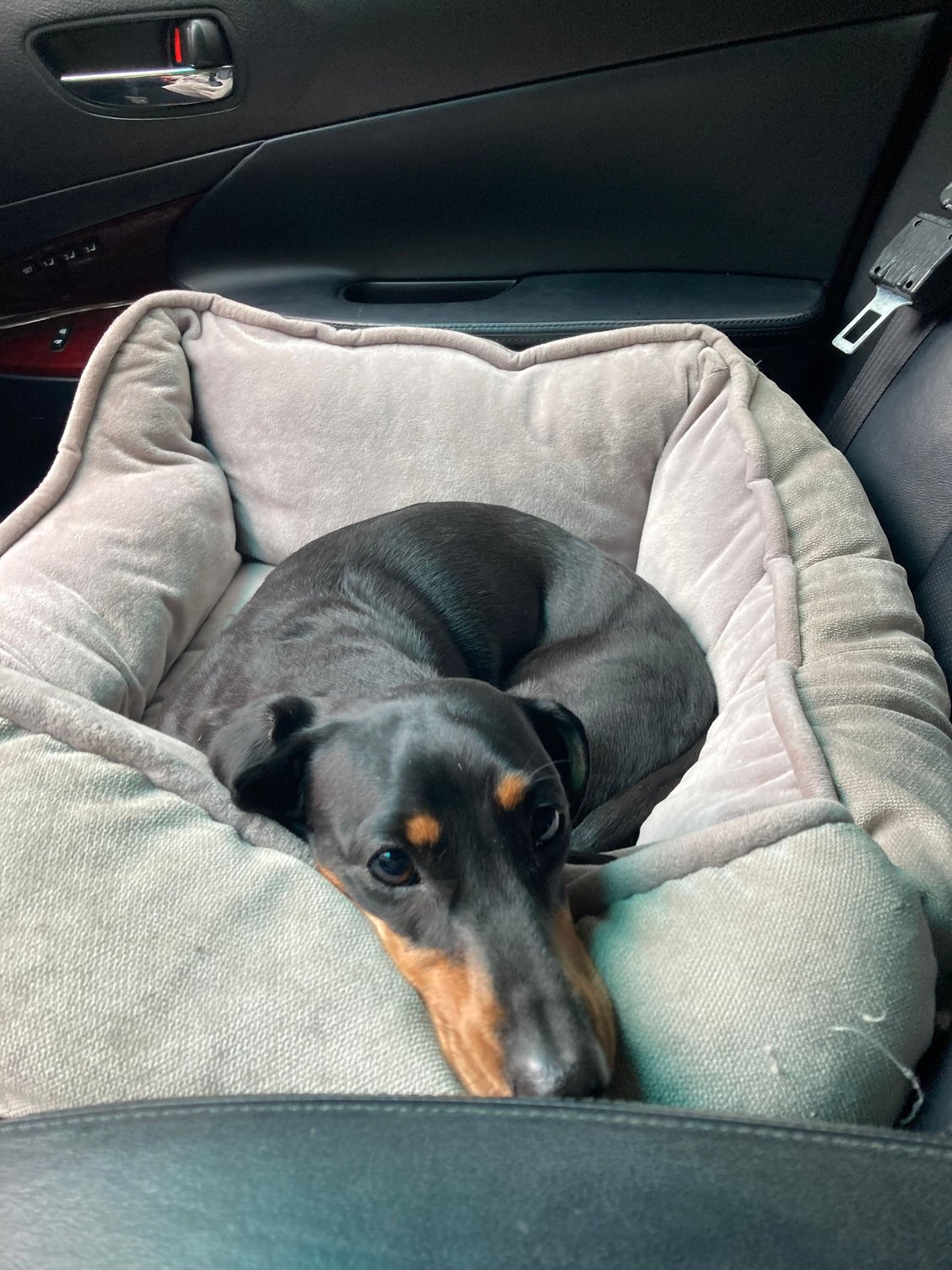 I personally defeated naval stealth technology today. A personal ...