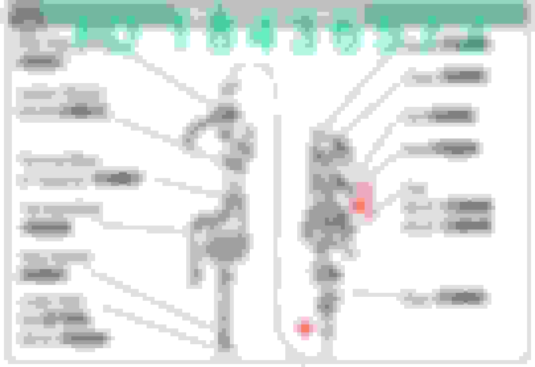 Distributor orientation L98 - CorvetteForum - Chevrolet Corvette Forum Discussion