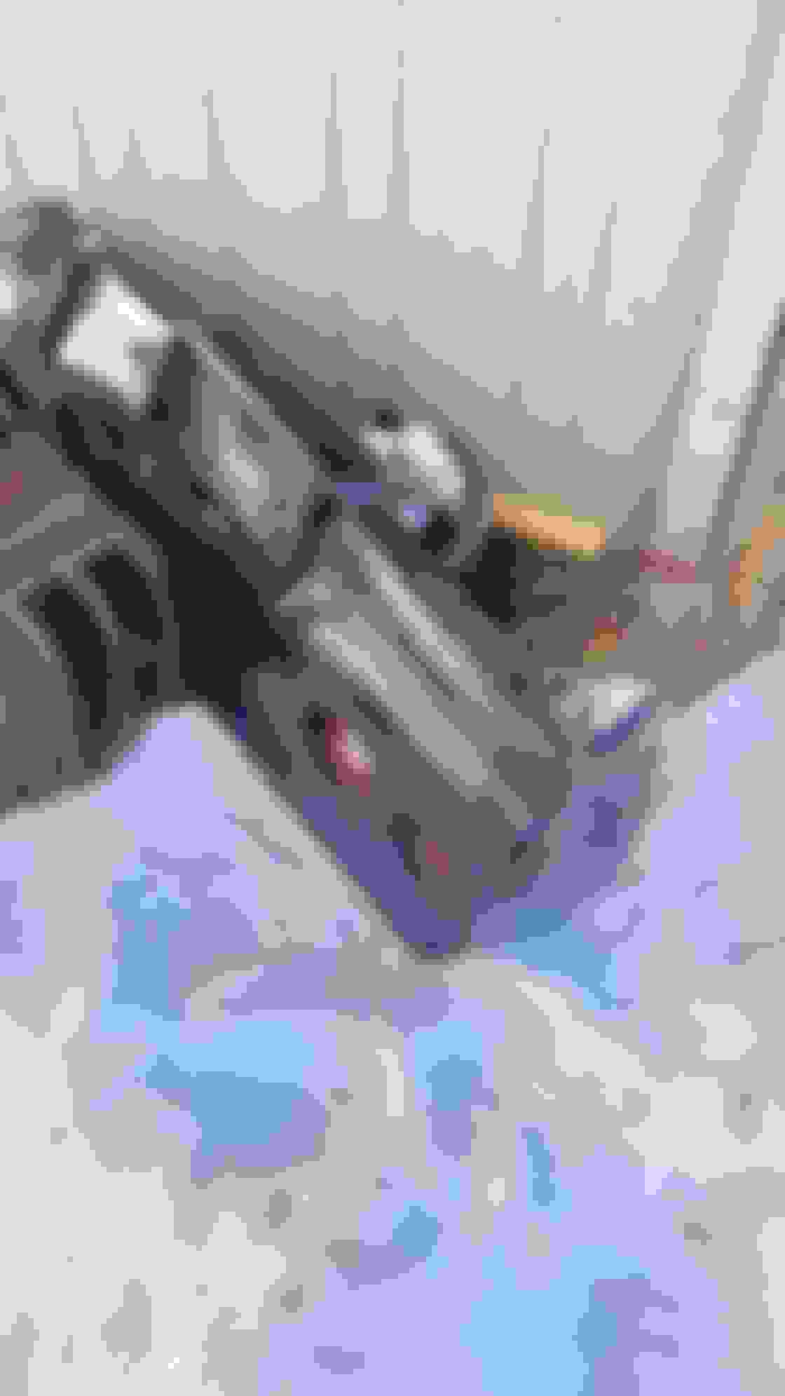 FS (For Sale) 1980 corvette - CorvetteForum - Chevrolet Corvette Forum ...