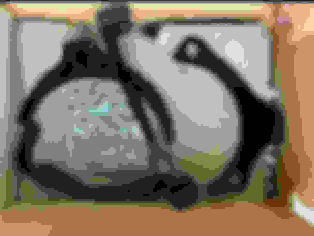 FS (For Sale) Viking Warrior Shocks = ECS Z06/GS/ZRI Diff/Trans Brace ...