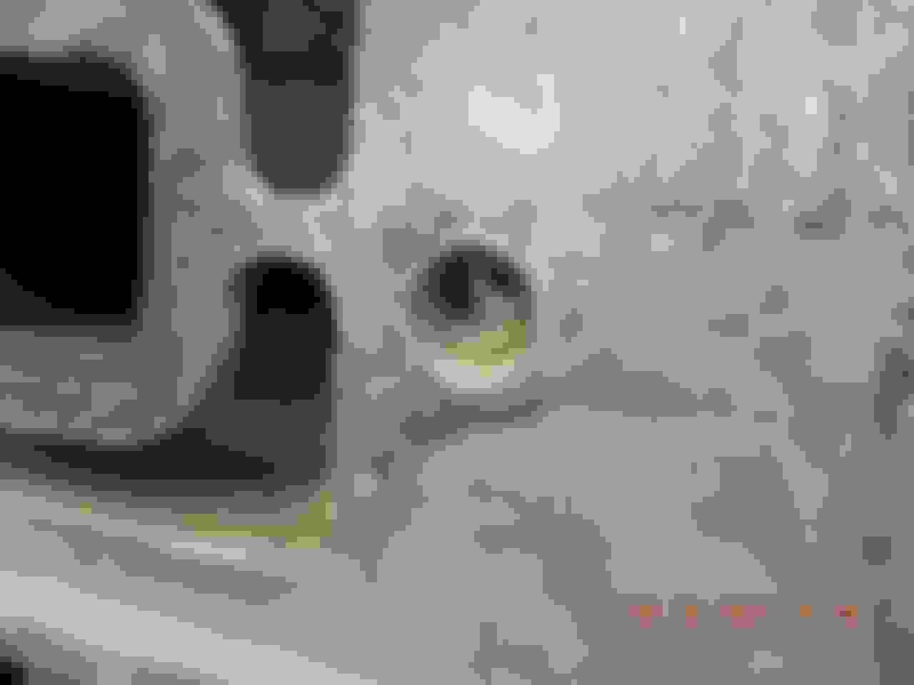 C2 Just Looked at L88 Heads and L72 Block/Crank - CorvetteForum ...