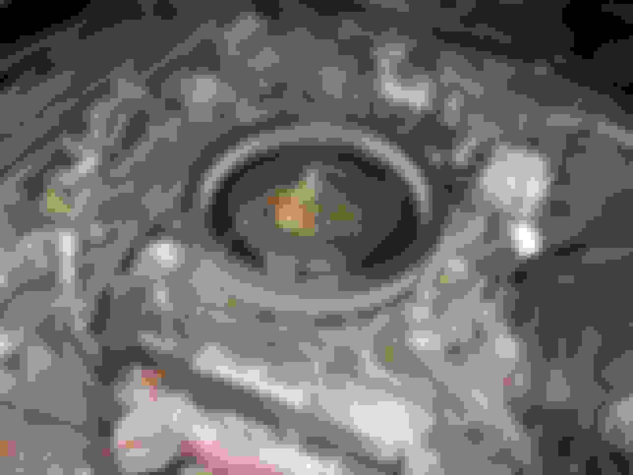 EFE valve question - Page 2 - CorvetteForum - Chevrolet Corvette Forum ...