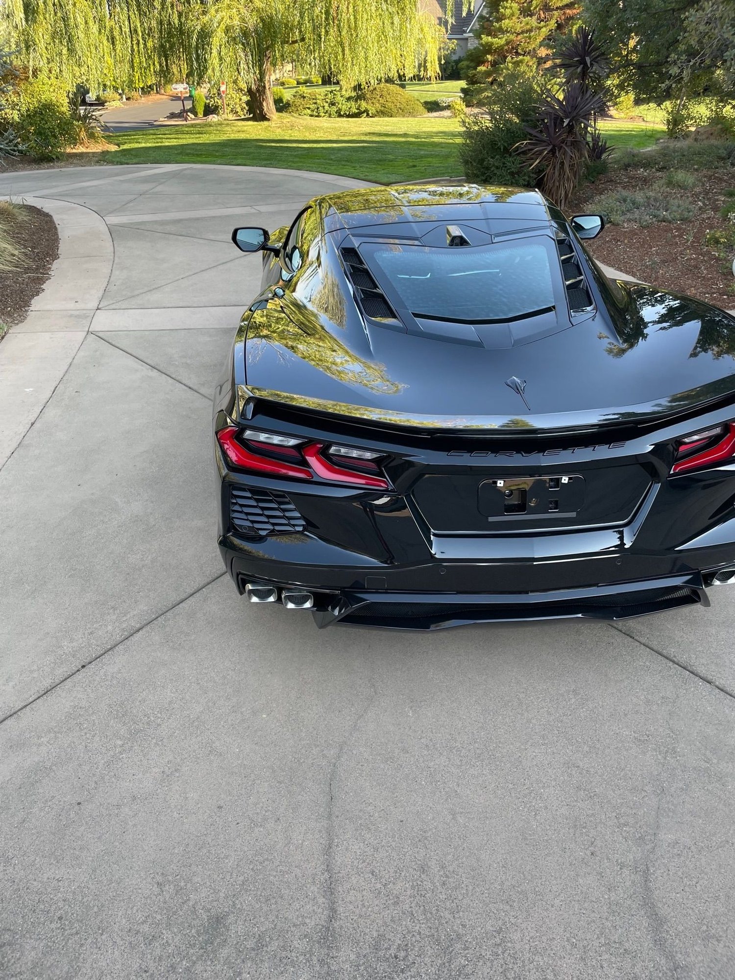 best looking spoiler on the c8..z51, low profile or no spoiler ...