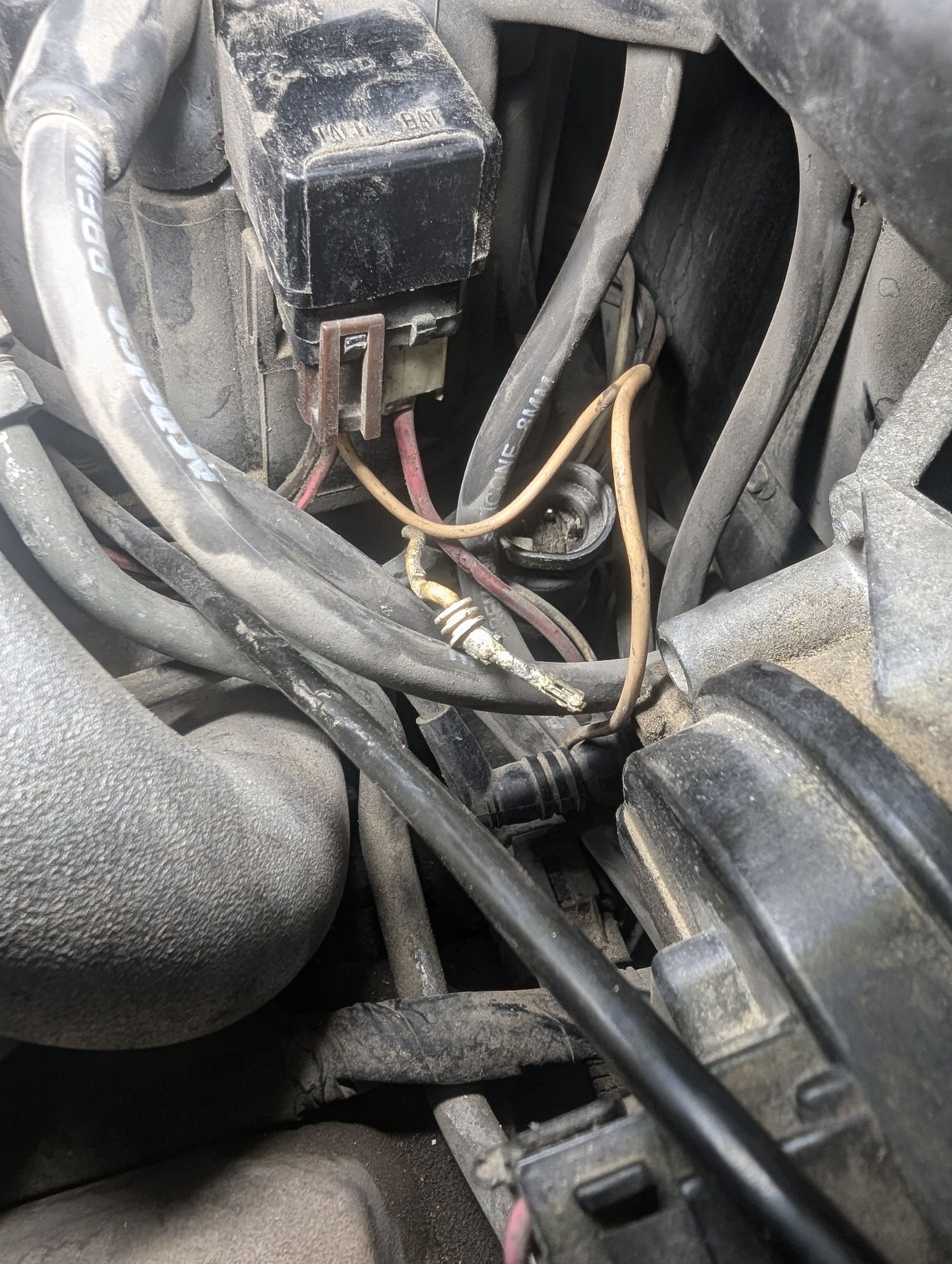 90 C4 L98 Mystery Wire/Plug by Distributor - CorvetteForum - Chevrolet ...