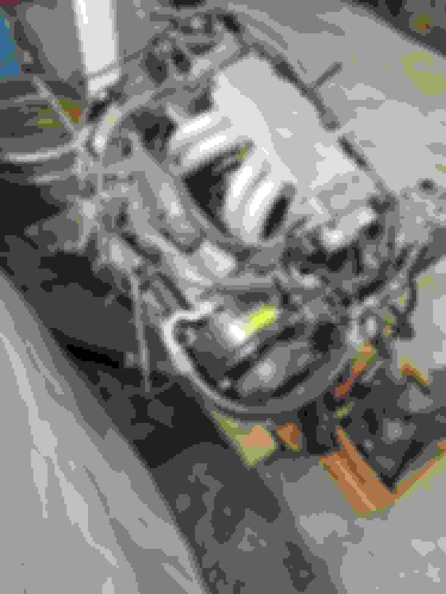 Complete 1985 L98 engine value - CorvetteForum - Chevrolet Corvette ...