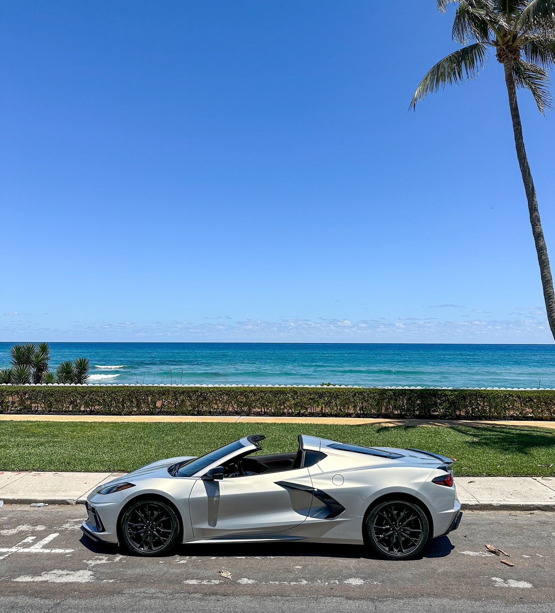 Official Silver Flare Metallic Color Thread - Page 16 - CorvetteForum ...