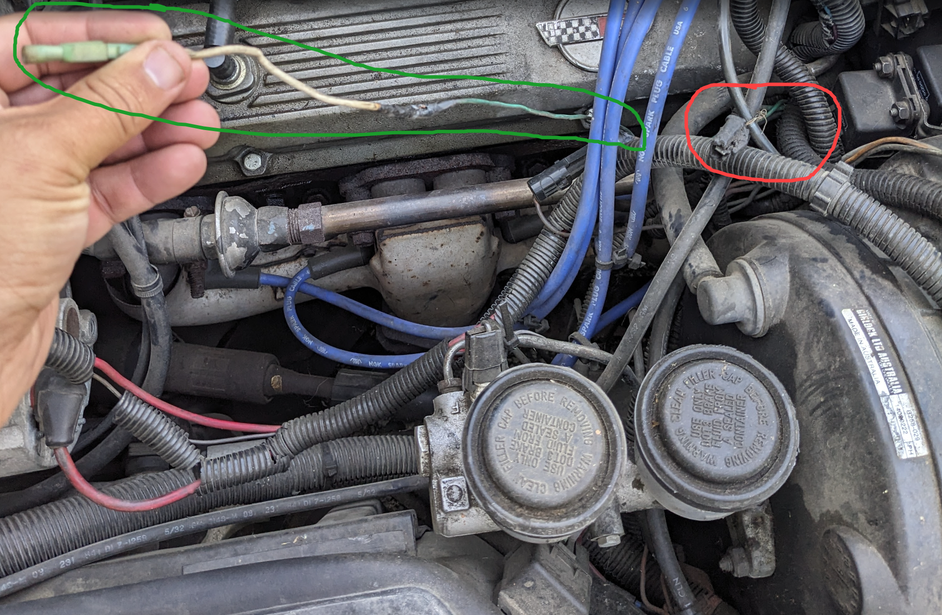Green Engine Bay Wire Identification Help - CorvetteForum - Chevrolet ...