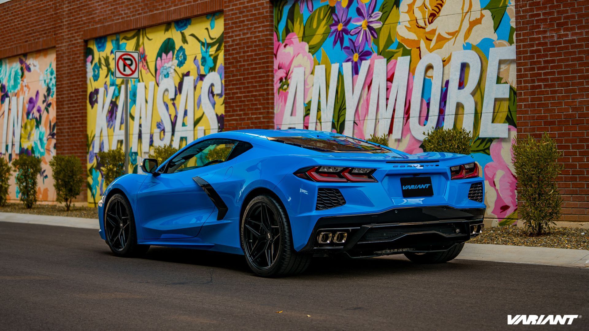 Official Rapid Blue Color Thread - Page 18 - CorvetteForum - Chevrolet ...