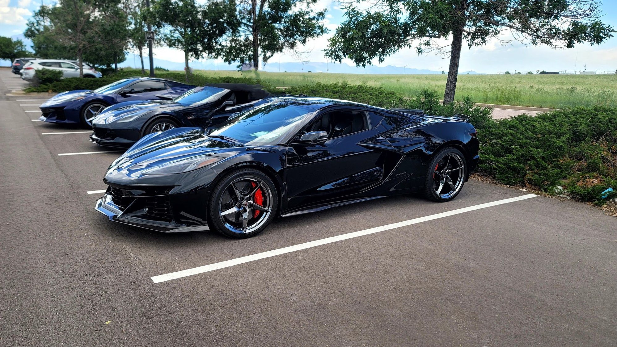 E-Ray Emblem in Rapid Blue with Carbon Flash Metallic - CorvetteForum ...