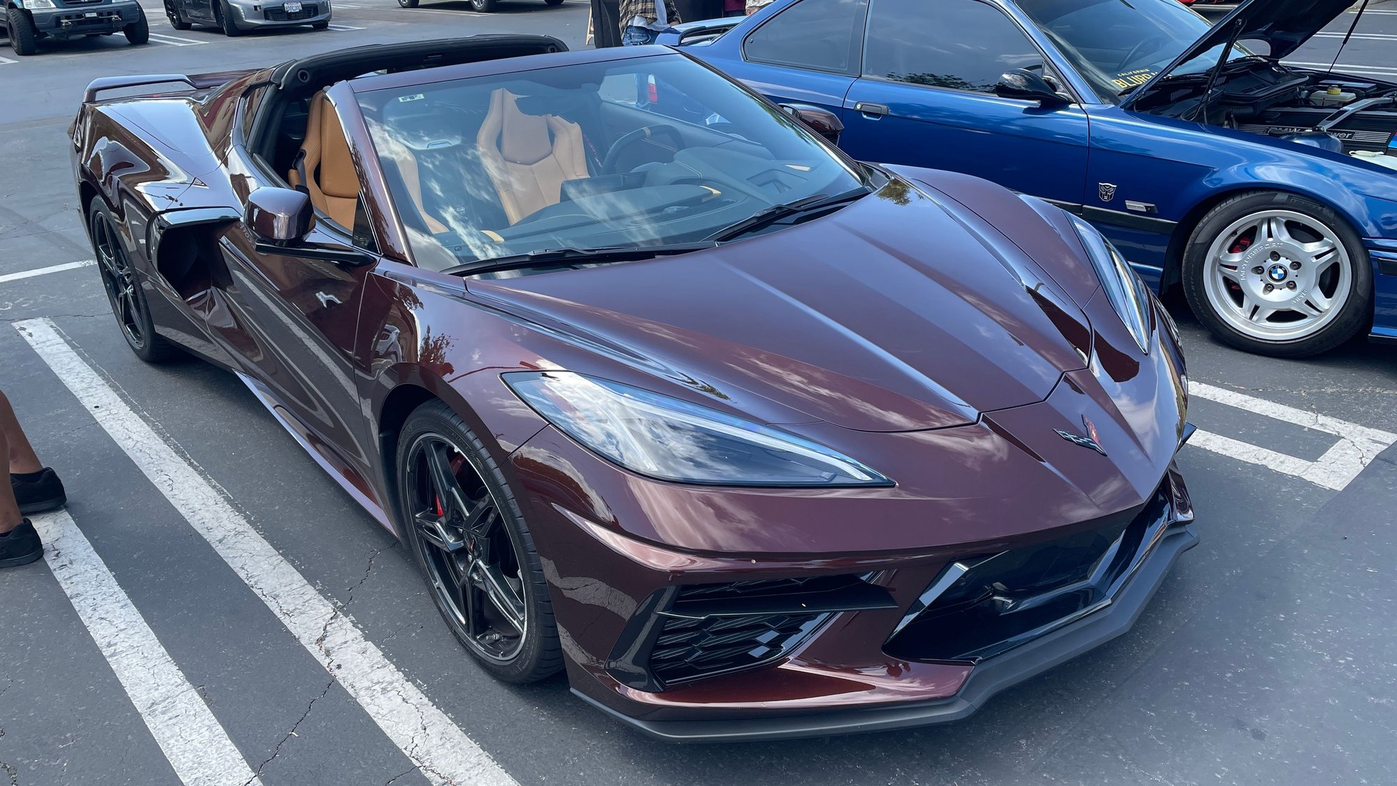 Official Caffeine Brown Thread - Page 21 - CorvetteForum - Chevrolet ...