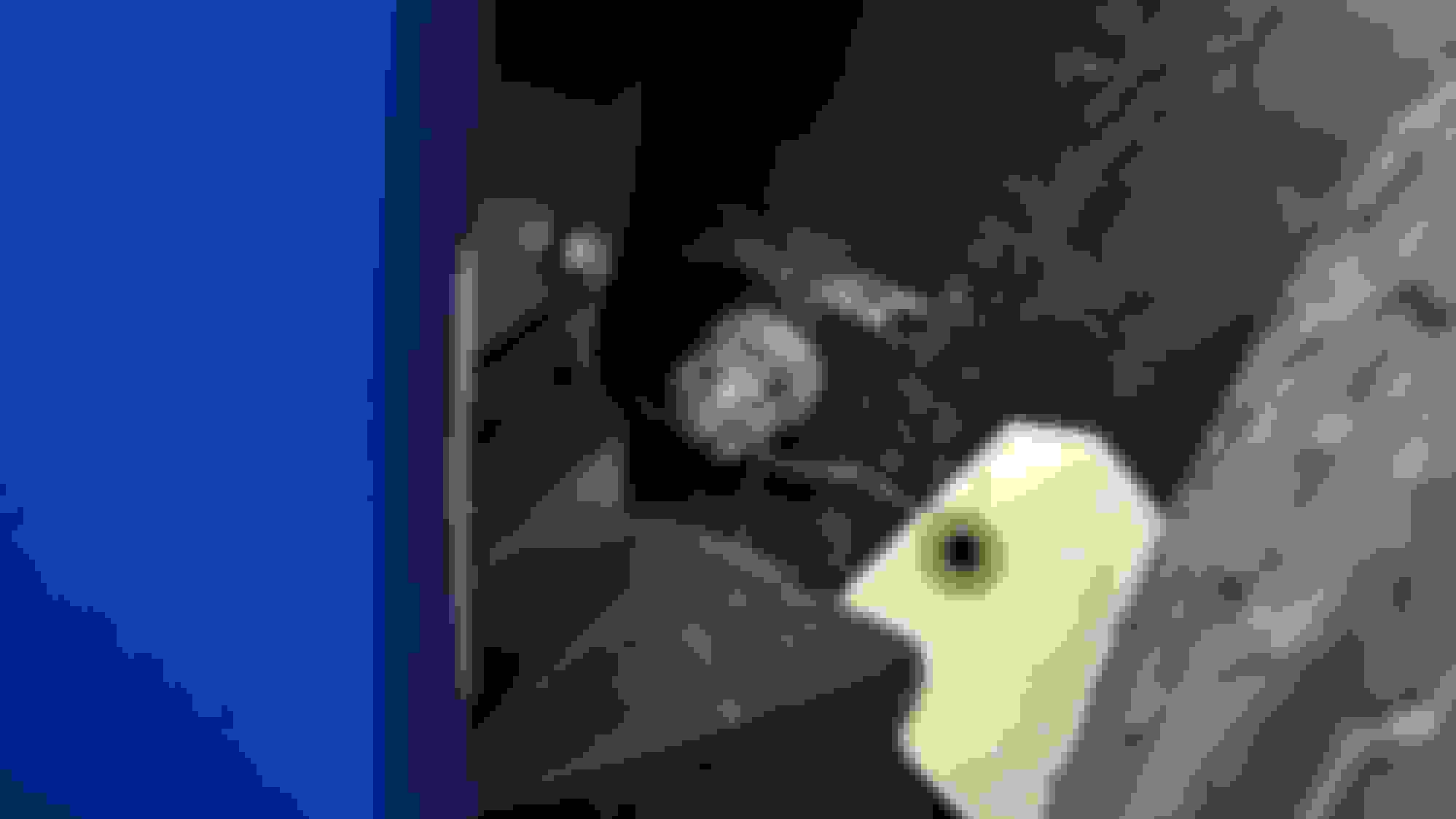 C2 Safety question: Is it safe to pull TA bolt with the car sitting on ...