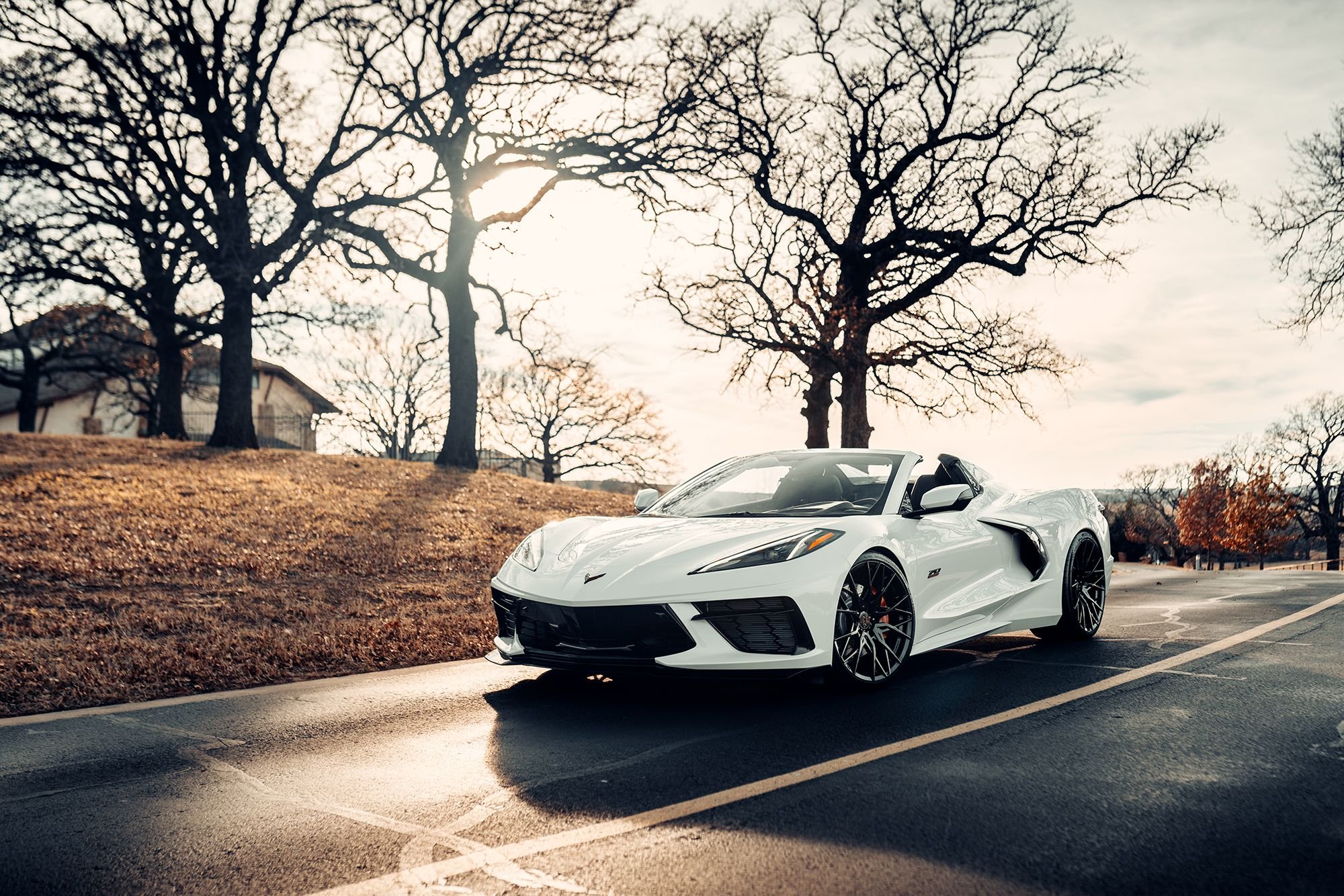 White Pearl Metallic 70th Anniversary Corvette C8 Forgedlite MC20 Photoshoot - CorvetteForum ...