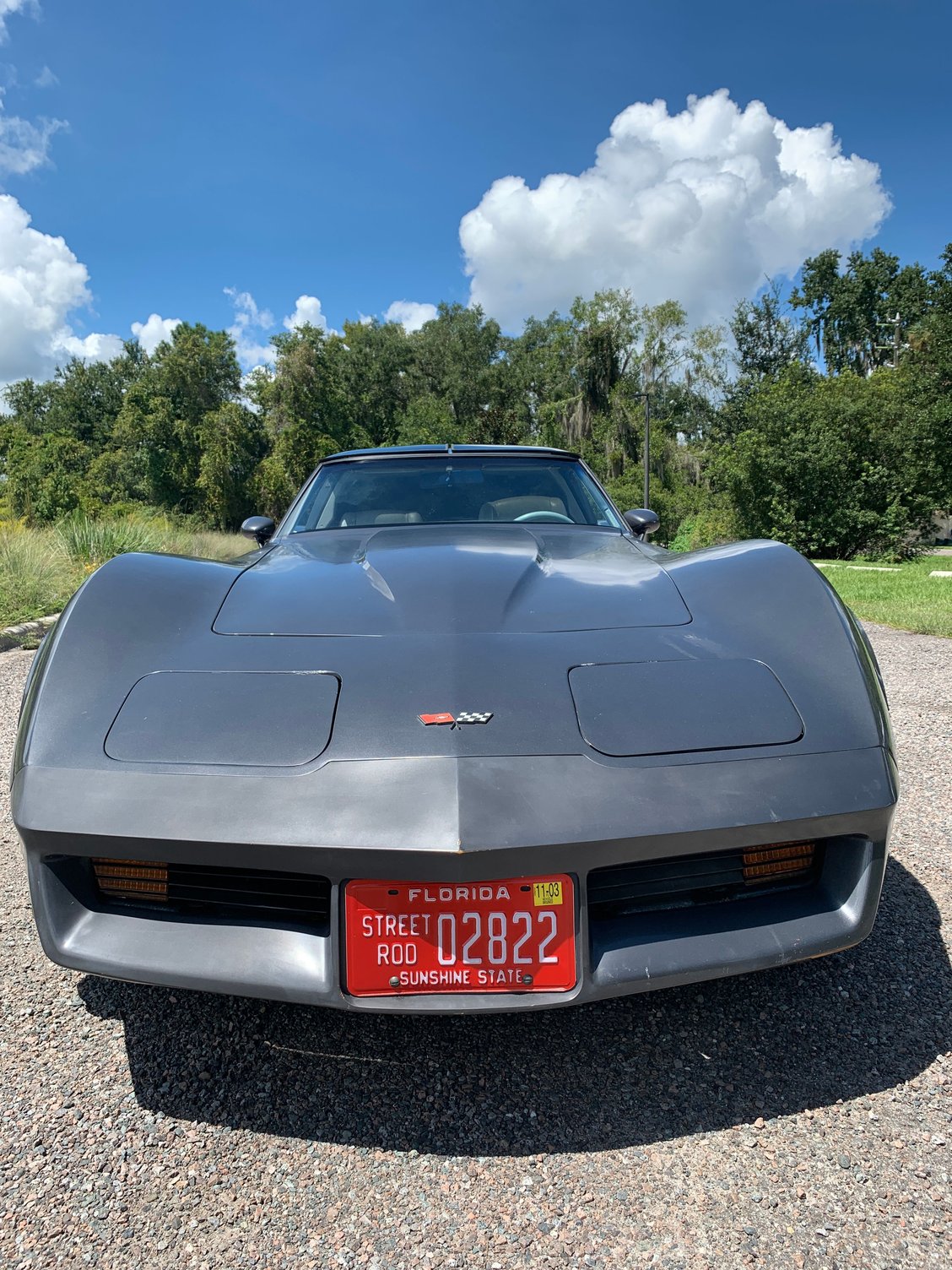 FS (For Sale) Nice original 1982 C3 for sale/Grey on Grey ...