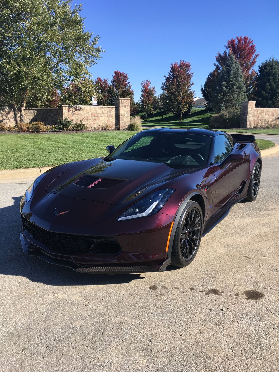 Official Black Rose Metallic Color Thread - Page 11 - CorvetteForum ...