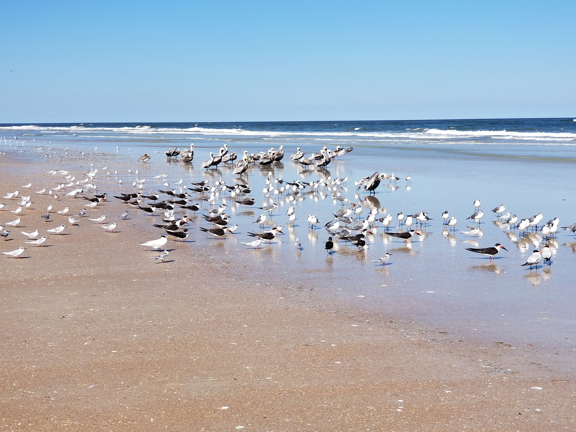 2021 C8J Production Spreadsheet - Page 35 - CorvetteForum - Chevrolet ...