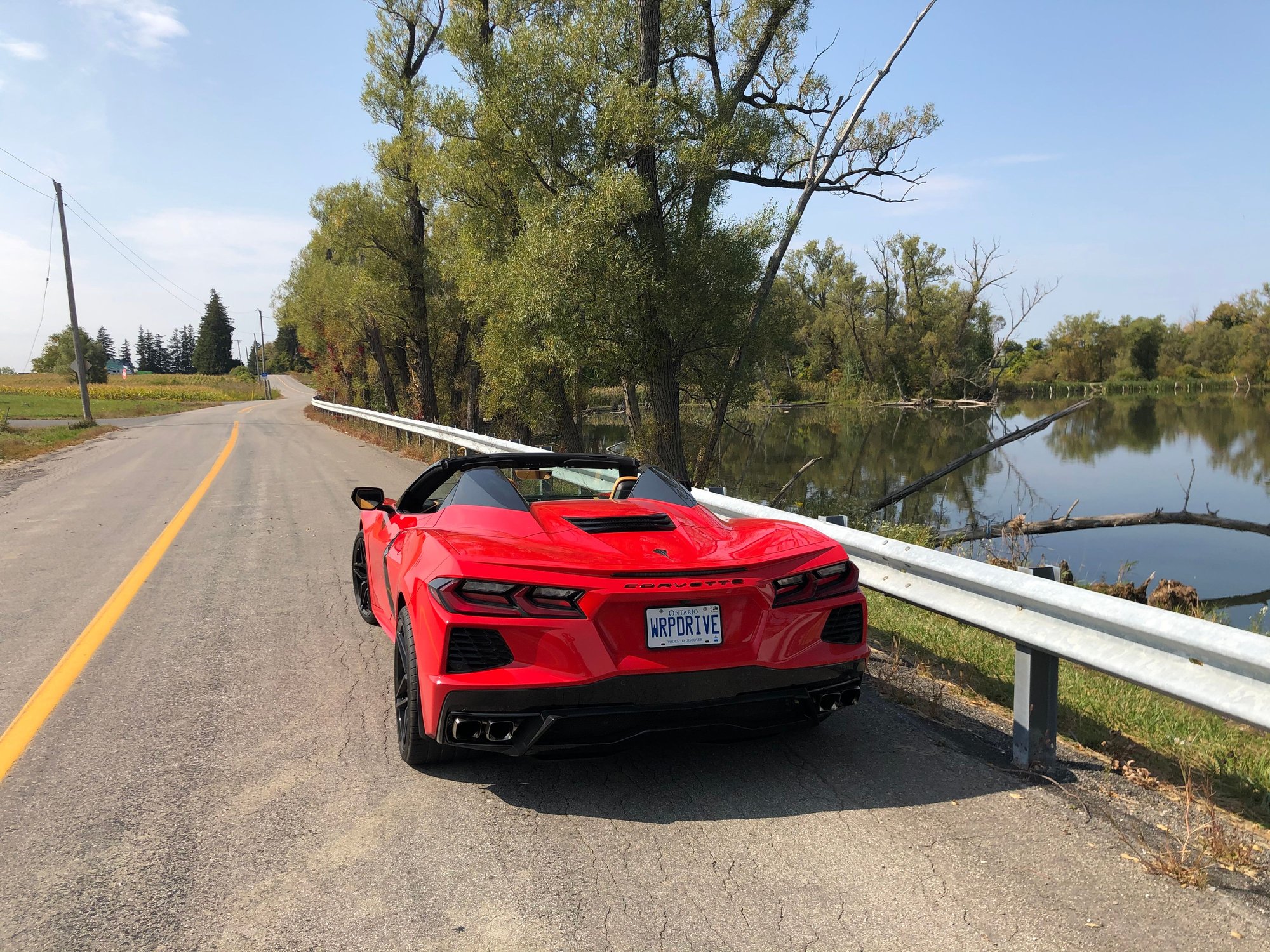 Show your C8 personalized license plate - CorvetteForum - Chevrolet ...