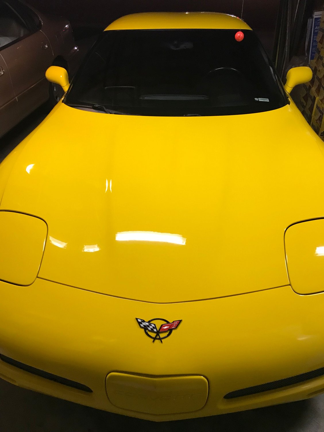 C5 Paint Question - CorvetteForum - Chevrolet Corvette Forum Discussion