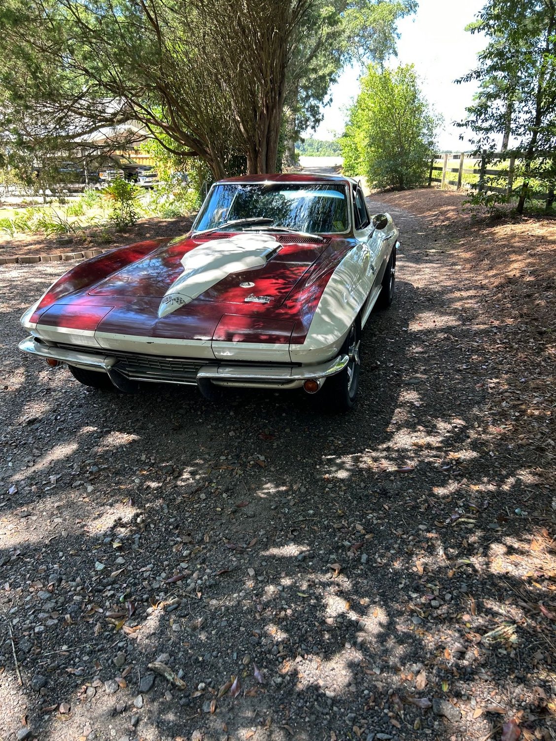 C2 1966 L72 SCCA car. Anyone Know this car? - CorvetteForum - Chevrolet ...